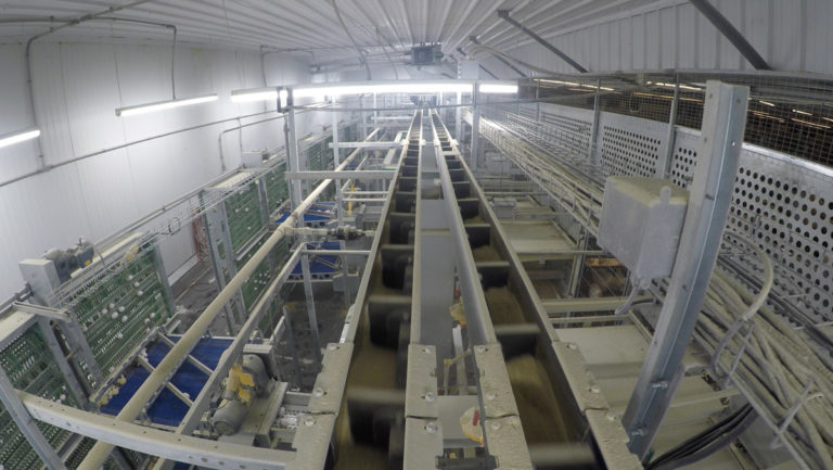 Double Barrel Chain Conveyor - Sudenga Industries Inc.